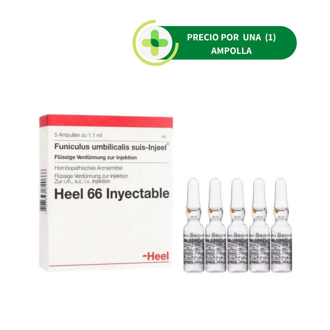 Funiculus Umbilicalis Suis Injeel Ampolla - Heel - 1.1 ml | Botiqui ...